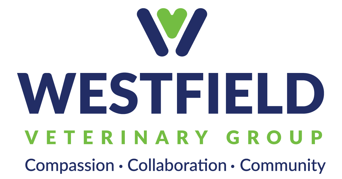 WVet Logo - Home For Good Dogs | NJ Rescue