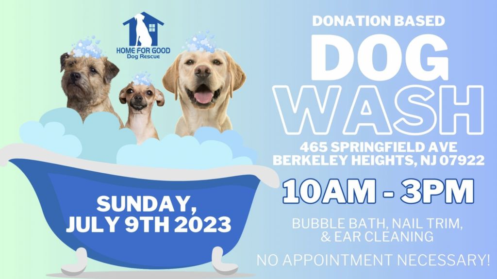 Donation Based Dog Wash Fundraiser! ~ 7.9.23 🐾 - Home For Good Dogs ...